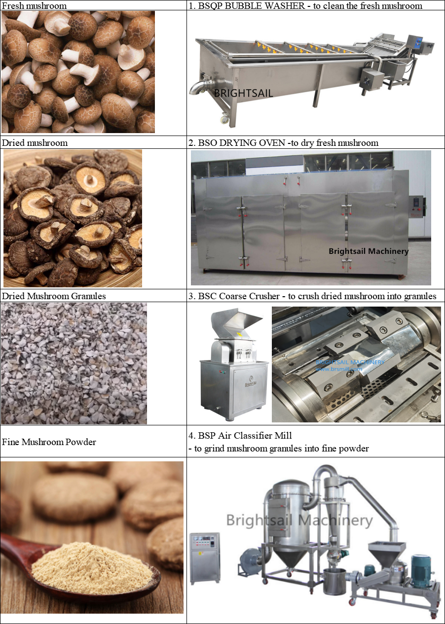 how to make mushroom powder by Mushroom Powder Machine - Brightsail ...
