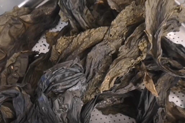 How to make seaweed powder by seaweed grinding machine? - Brightsail ...