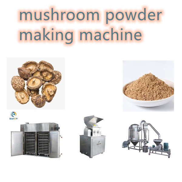 mushroom powder drying machine news - Brightsail Industries Group Co.,Ltd.